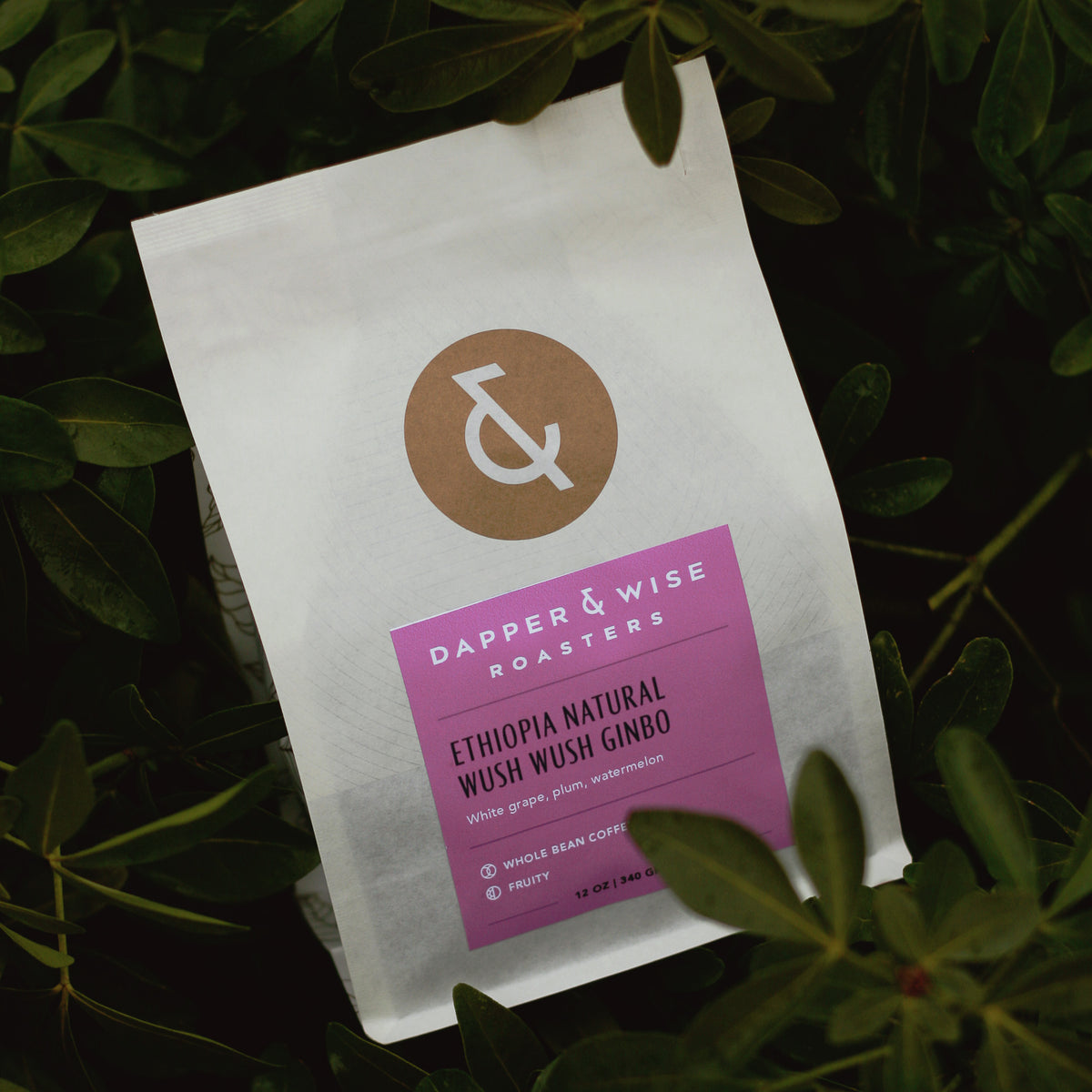 Cup of J: Ethiopia Natural Wush Wush Ginbo – Dapper & Wise