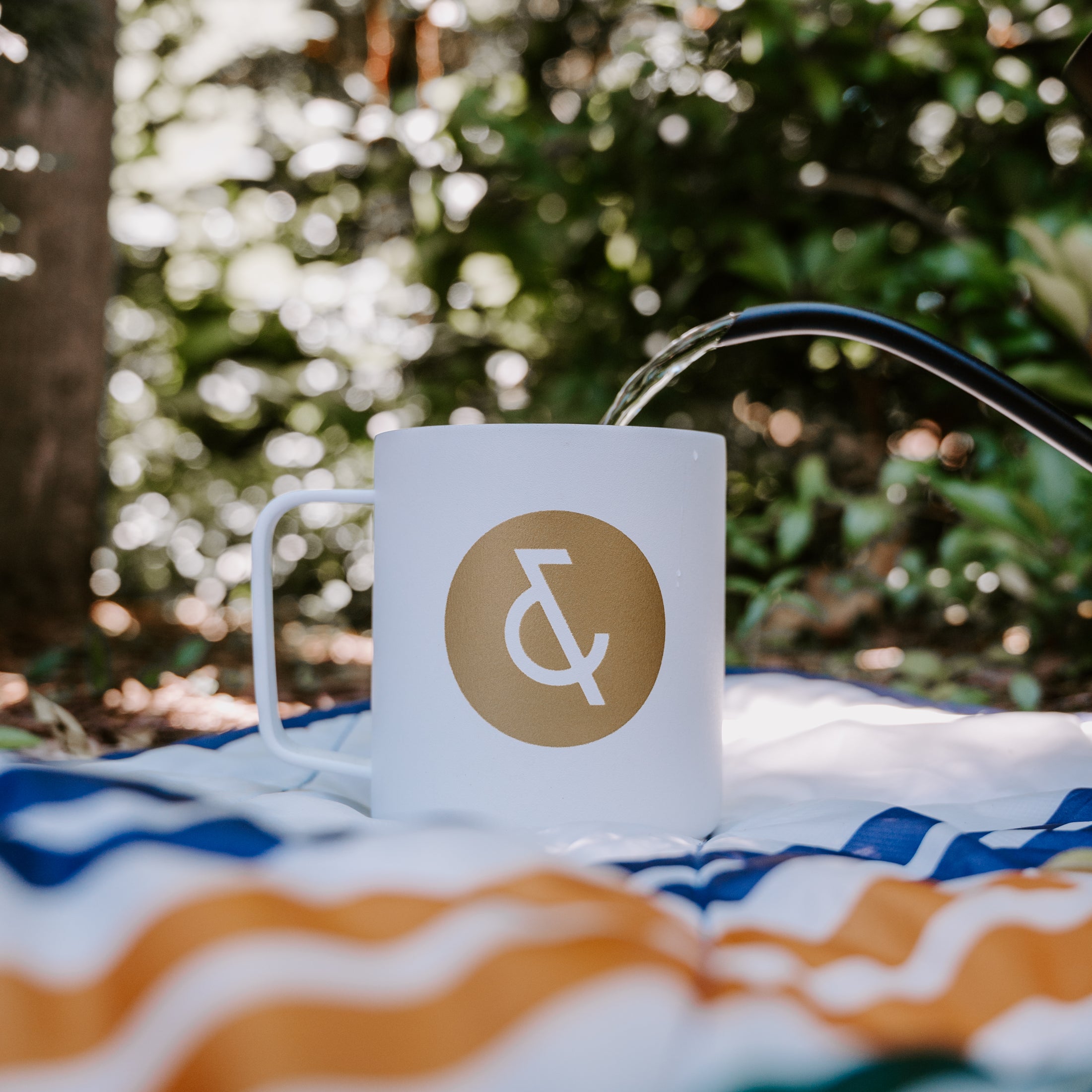 Dapper & Wise Coffee Roasters